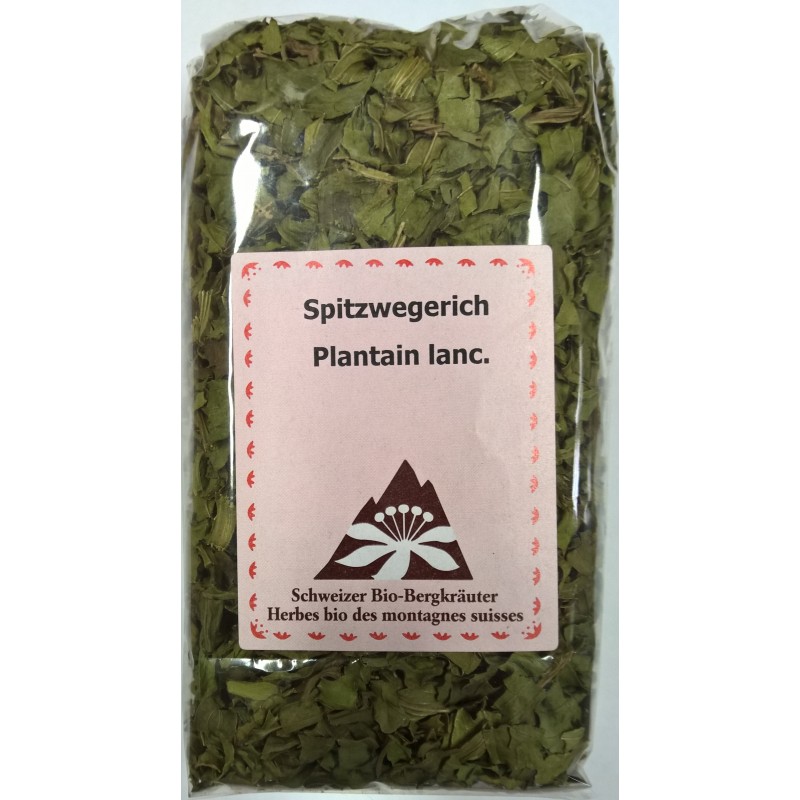 Spitzwegerich